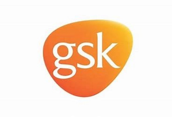 脂肪性肝疾患治療・進行抑制薬「efimosfermin」 米ファーマシューティカル社から買収完了 GSK | 医薬通信社